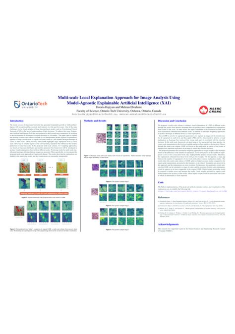 Multi Scale Local Explanation Approach For Image Analysis Using Model