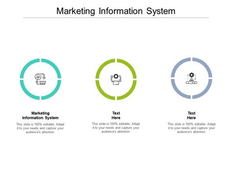 Marketing Information System Ppt Powerpoint Presentation Styles Layout