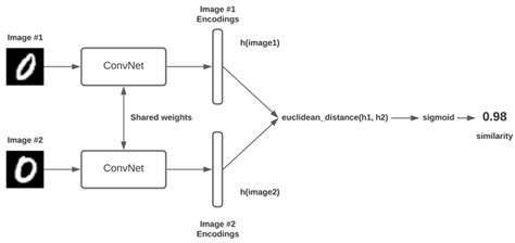 siamese network cs notes