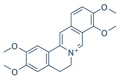 Palmatine Cas3486 67 7 Ruixibiotech