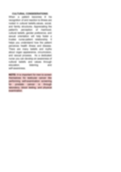 Solution Male Reproductive System Assessment Studypool