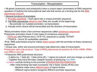 Lecture 7 Biol3600 Genetic Code And Translation PPT
