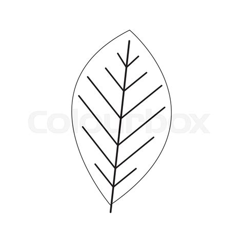 Simple Leaf Icon Image Stock Vector Colourbox