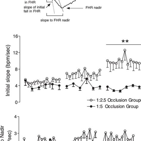 Top Example Of A Variable Deceleration Caused By A 1 Min Occlusion Of