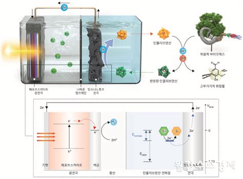 목재 바이오매스로 태양광수소 생산 시스템 개발