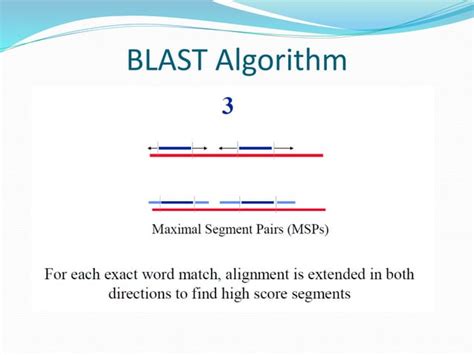 Blast Algorithm Pptx