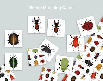Bug Match Game Etsy