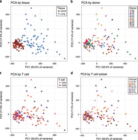 Principal Component Analysis Of Rna Sequencing Data After Correcting Download Scientific