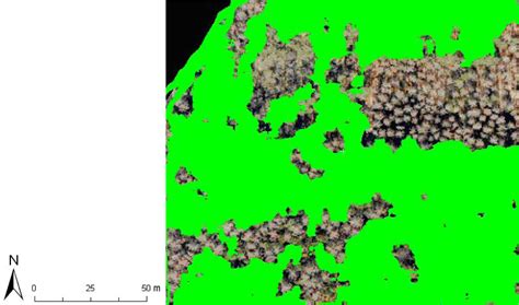 Improving The Precision Of Tree Counting By Combining Tree Detection With Crown Delineation And