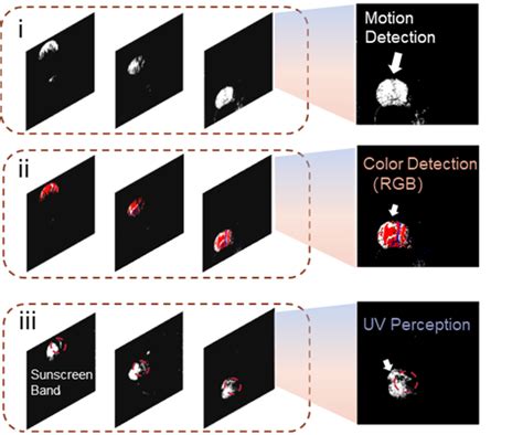 Breakthrough In Bionic Vision Technology Mimics Birds Extraordinary