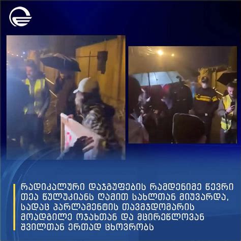 შალვა დონორებისგან წახალისებული და ენჯეობისგან ორგანიზებული ქუჩის ტერორი თავისი ამაზრზენობის