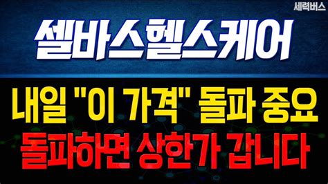 셀바스헬스케어 주가 만족 못할 상승이죠 공감하시면 이번편 보세요 Youtube