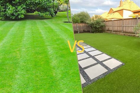Artificial Turf Vs Natural Grass Dubai Artificial Grass