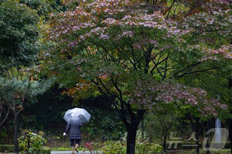 가을 마중 뉴스1