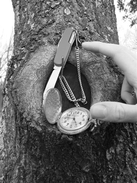 To Kill A Mockingbird Tree