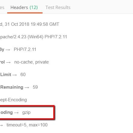 Response Headers After The Gzip Compression Is Enabled Download Scientific Diagram