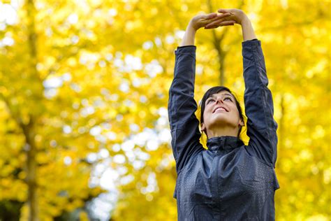 Resumo Do Livro Atenção Plena Mindfulness De Mark Williams