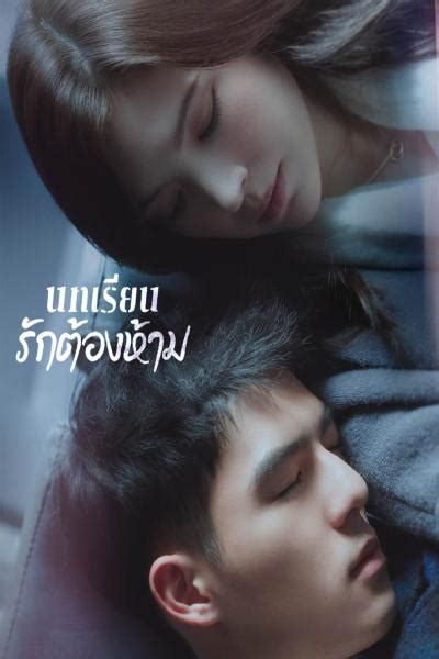 Lessons In Love