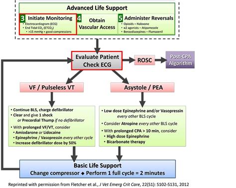 Als Module 1 Initiating Advanced Life Support Summary Continuing