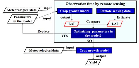 Concept Of Optimizing Field And Cultivar Parameters In The Simulation Download Scientific