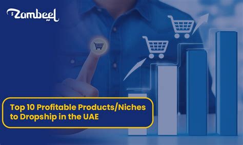 Top 10 Profitable Products Niches To Dropship In The Uae Zambeel