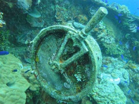 a wavelet based dual stream network for underwater image enhancement