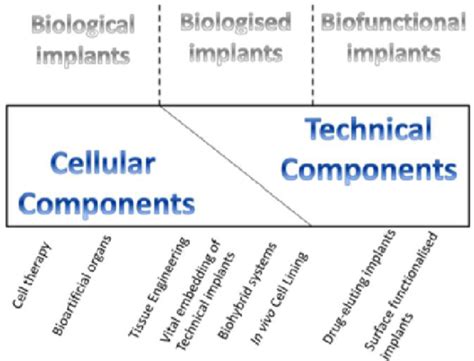 Categories Of Bioimplants Followed By The Components And Examples Download Scientific Diagram