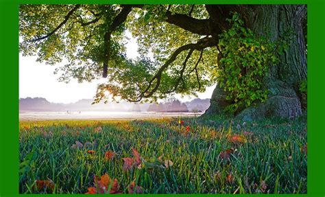 Intelligent Mail Barcode Advantages And Disadvantages