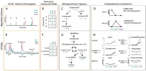 Coupled Transcriptomics And Metabolomics To Generate Pathway Download Scientific Diagram