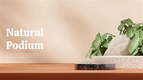 Пустое пространство мрамор и подиум терраццо в квадратном зеленом сингониуме растение и скала 3d