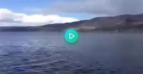 Proof Of The Loch Ness Monster  On Imgur