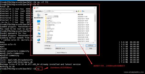 Linux环境开发工具 Yum与vimyum Vim Csdn博客