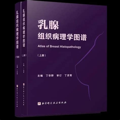 详细展示乳腺病理学特点《乳腺组织病理学图谱》（上下册）丁华野 主编，丁彦青 审订