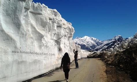 Opening Of Snow Clad Rohtang Pass Brings Cheer To Tourists Discover