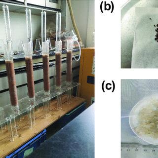 The Vertical Distribution Of Soil Water Content A And PH B In Soil Download Scientific