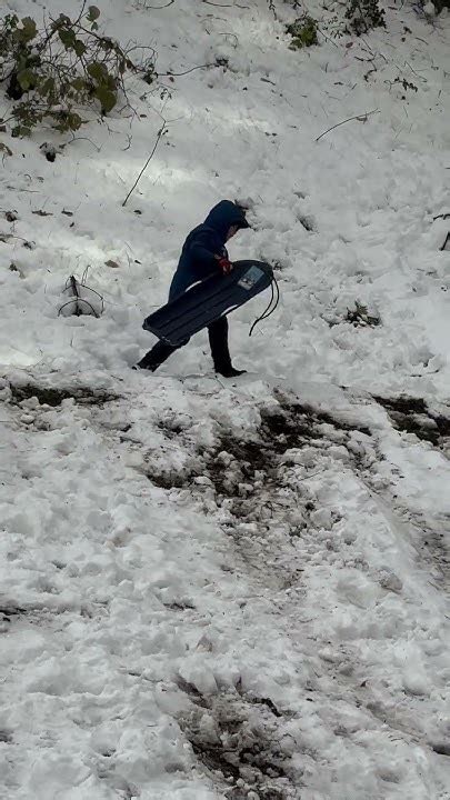 흰눈사이로 썰매를 타고 신나는 눈썰매~ 눈이 많이오니 좀 일찍 시작한당 야호 Youtube