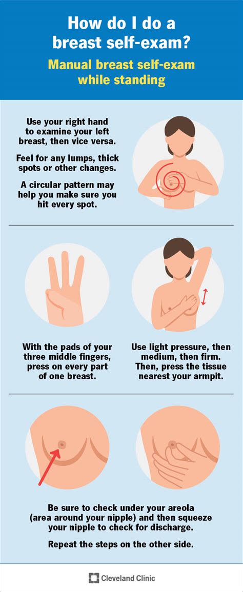 Clinical Breast Exam Diagram