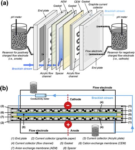 Schematic Representations Of A The Structure And B The Download Scientific Diagram