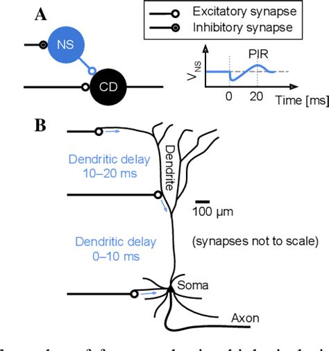 Figure 1 From Synaptic Integration Of Spatiotemporal Features With A Dynamic Neuromorphic