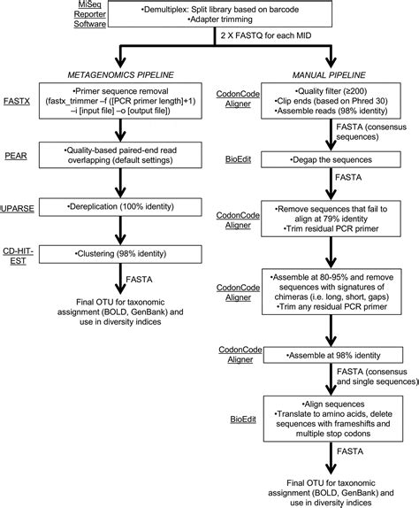 Dna Metabarcoding Of Insects And Allies An Evaluation Of Primers And Pipelines Bulletin Of