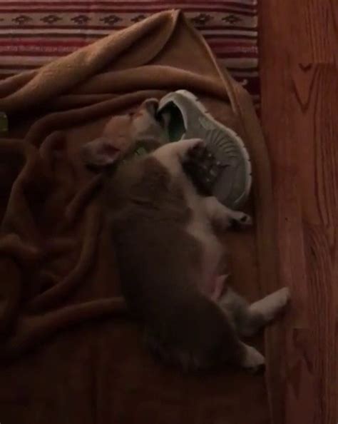 Post 190277952216 War Inside My Own Tumbex