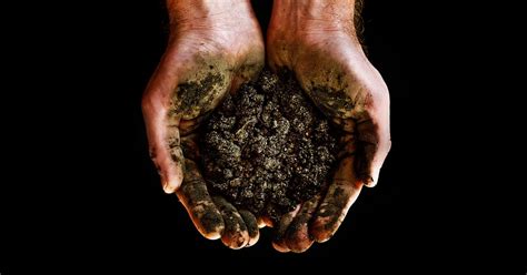 How Body Farms And Human Composting Can Help Communities WIRED