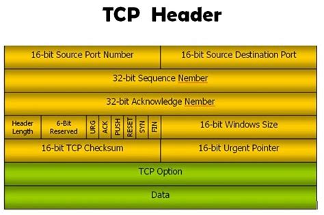 Router Switch And Ip Information Tcp Segment Structure โครงสร้างของ Tcp
