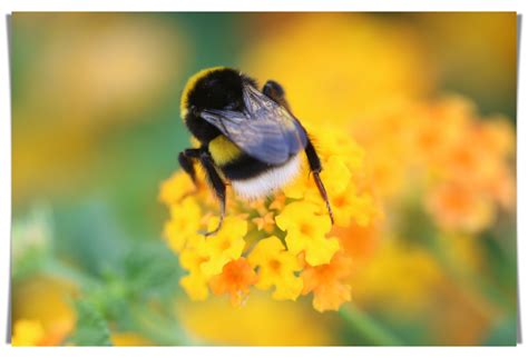 Vera Lynn Måtte Bare Ha En Liten Pause