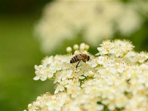 Power Bi Data Refresh Troubleshooting Tips For Smooth Performance