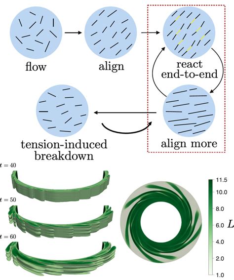 Research Complex Flows And Fluids Research Group Uw Madison
