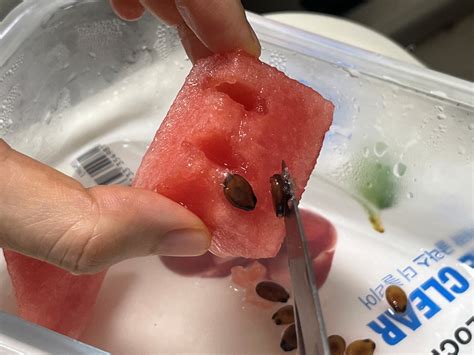 냉장고 수박 그냥 먹지 마세요 주스로 만들었더니 200 맛이 살아납니다 텐꿀팁