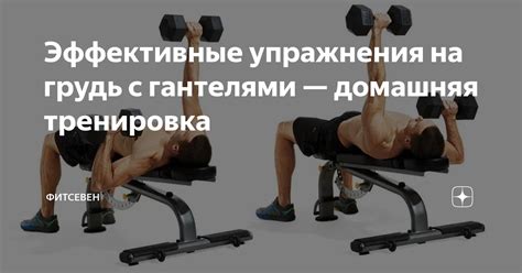 Эффективные упражнения на грудь с гантелями — домашняя тренировка Фитсевен Дзен