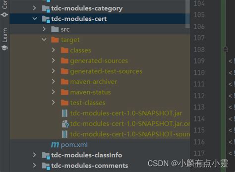 Java项目引入sdk后打成jar包java中sdk怎么打包 Csdn博客