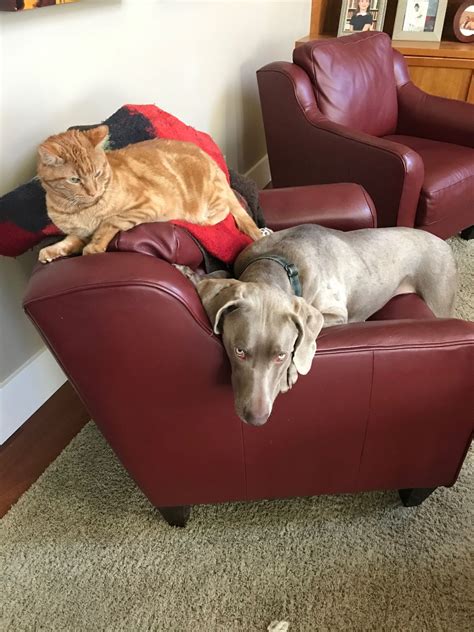 Colleen Fedchun Posted On Linkedin